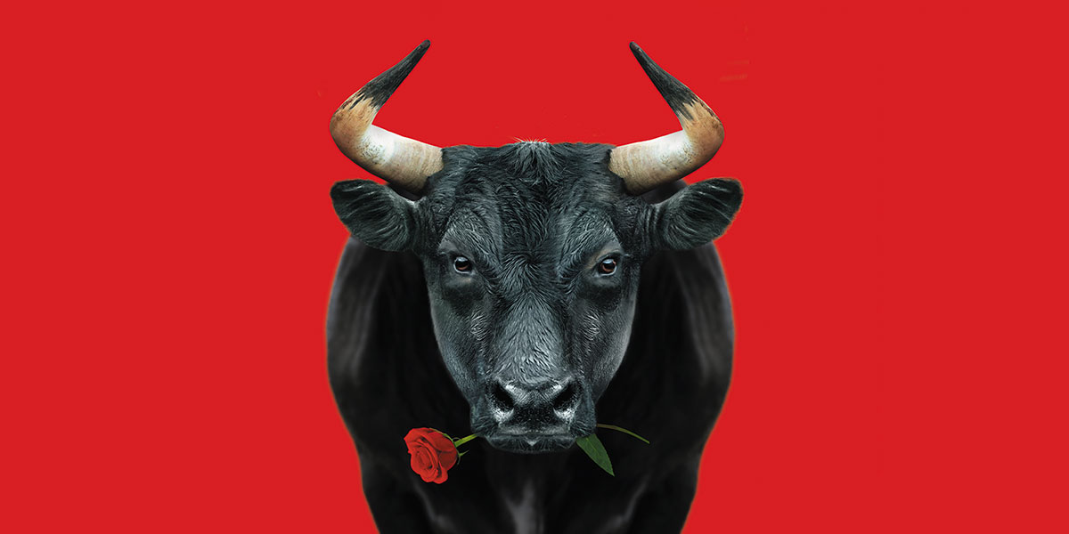 Carmen-State-Opera_website - Country Arts