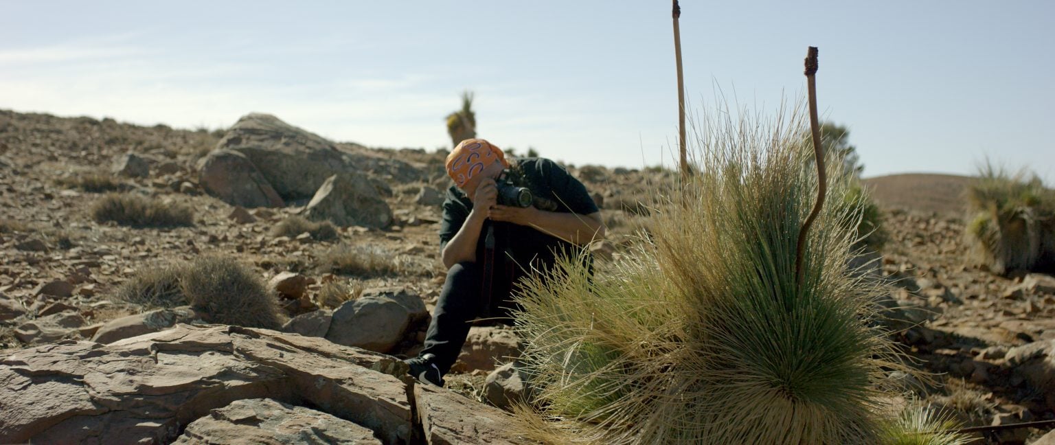 Nunga Screen - Country Arts